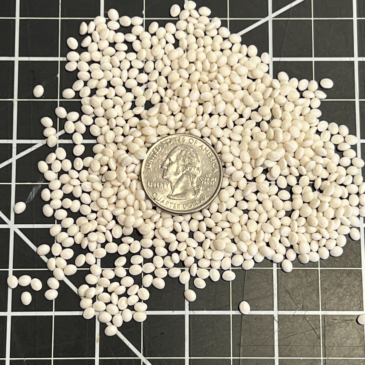 Small Flat Heavy Pellet Resin Fill for Cornhole Bags (FREE SHIPPING IN ...